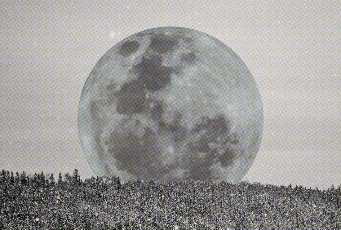 The Cold Moon – Christy Dawn