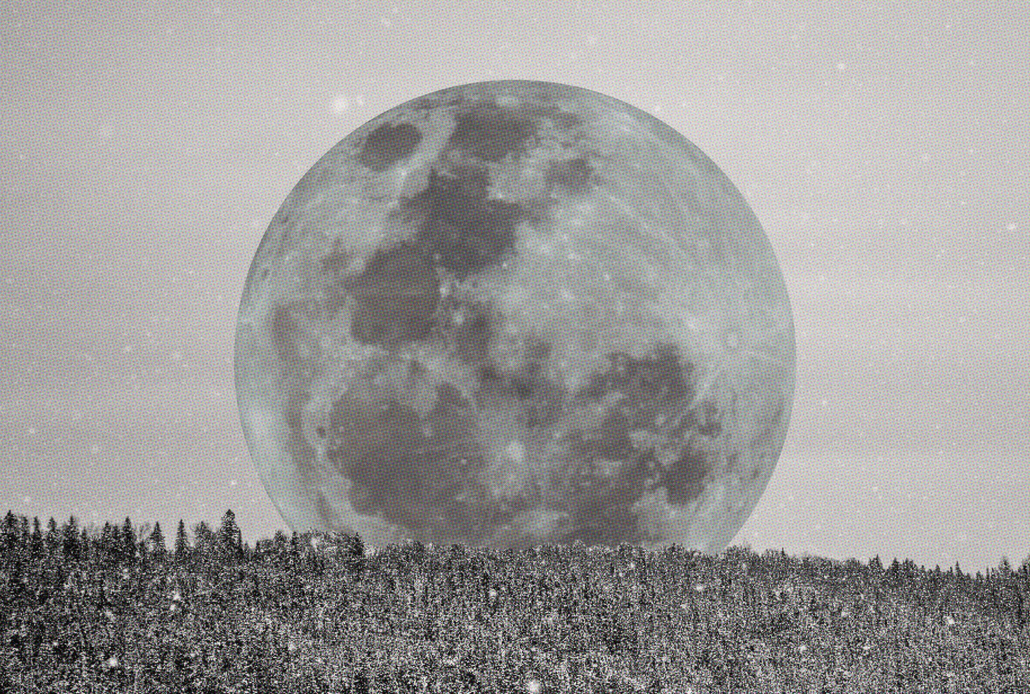 The Cold Moon – Christy Dawn