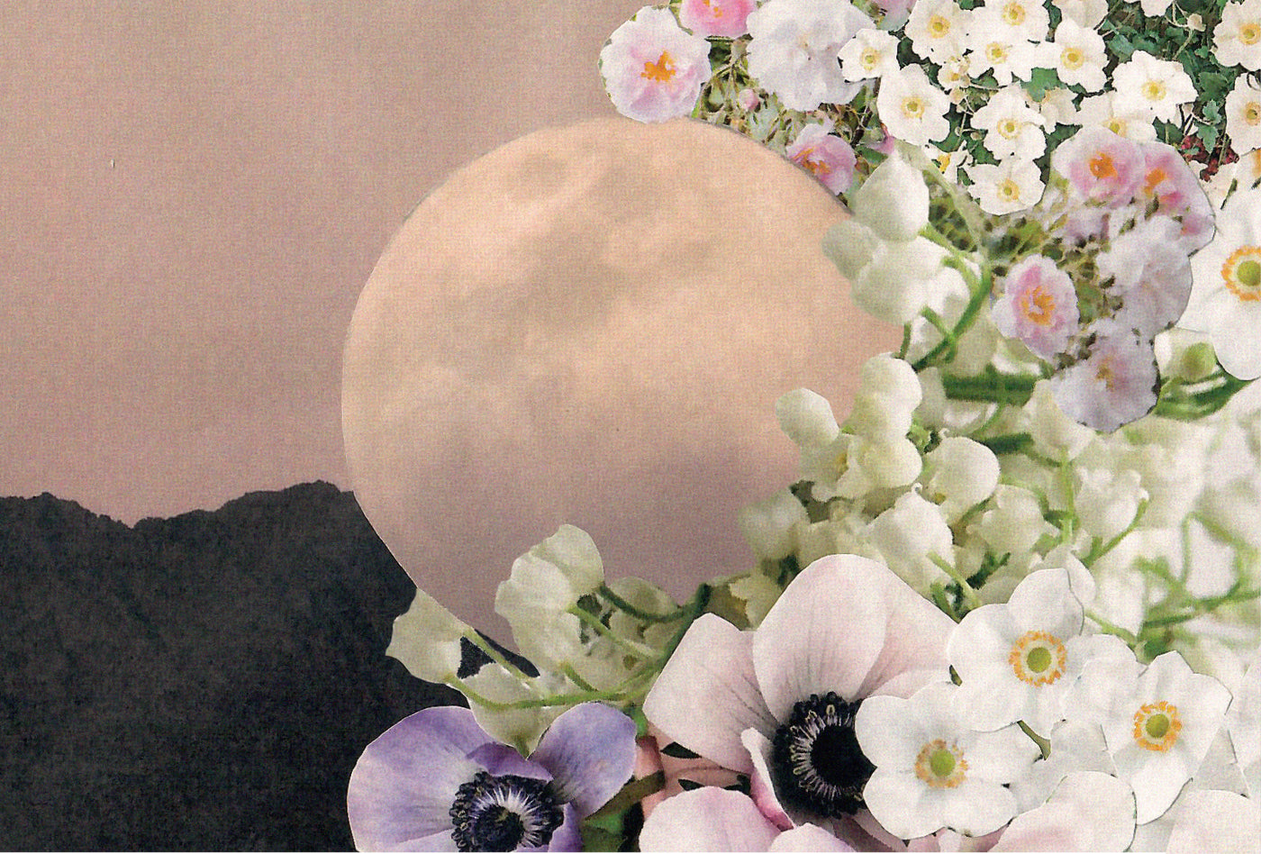 The Flower Moon – Christy Dawn