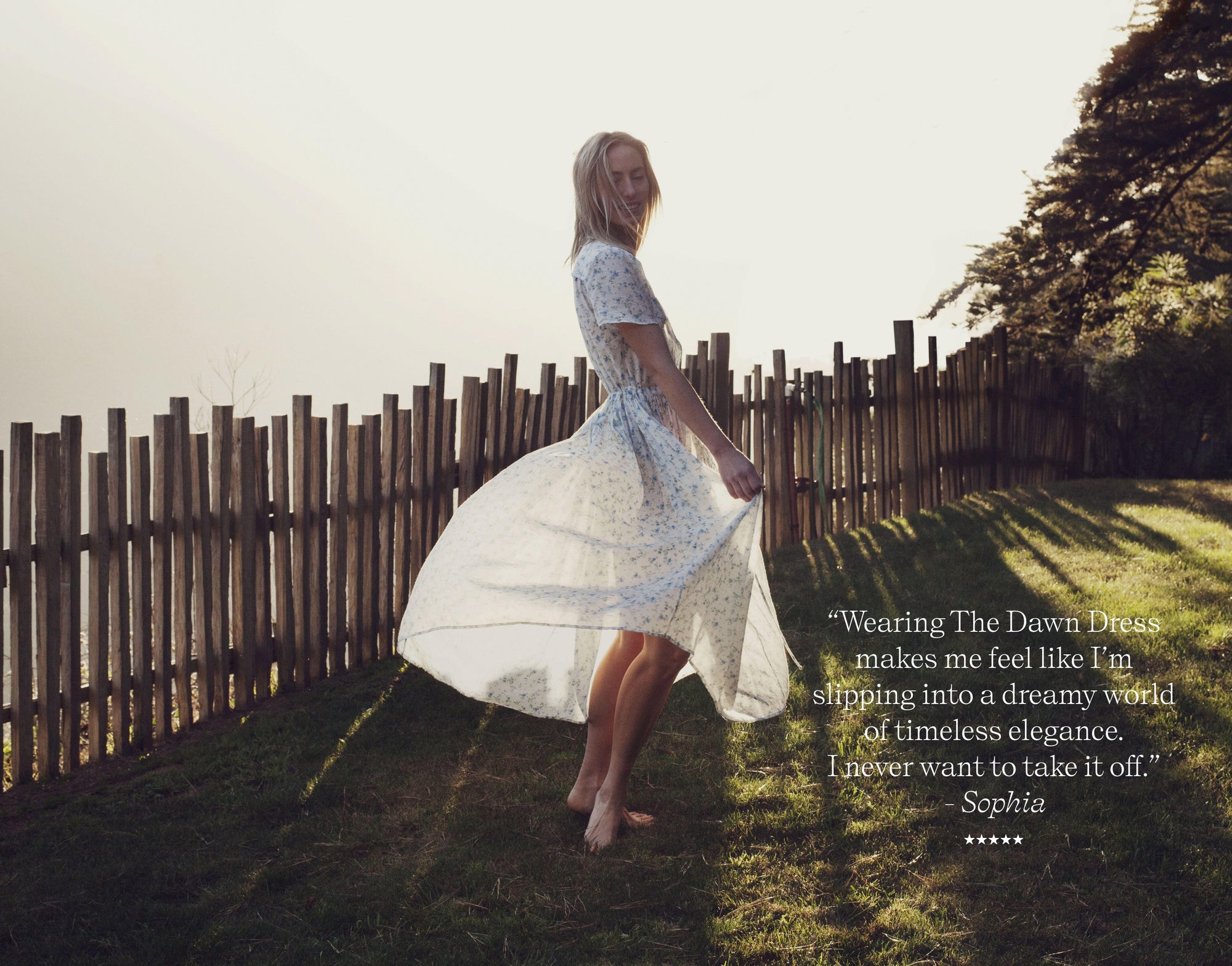 Meet The Dawn Dress – Christy Dawn